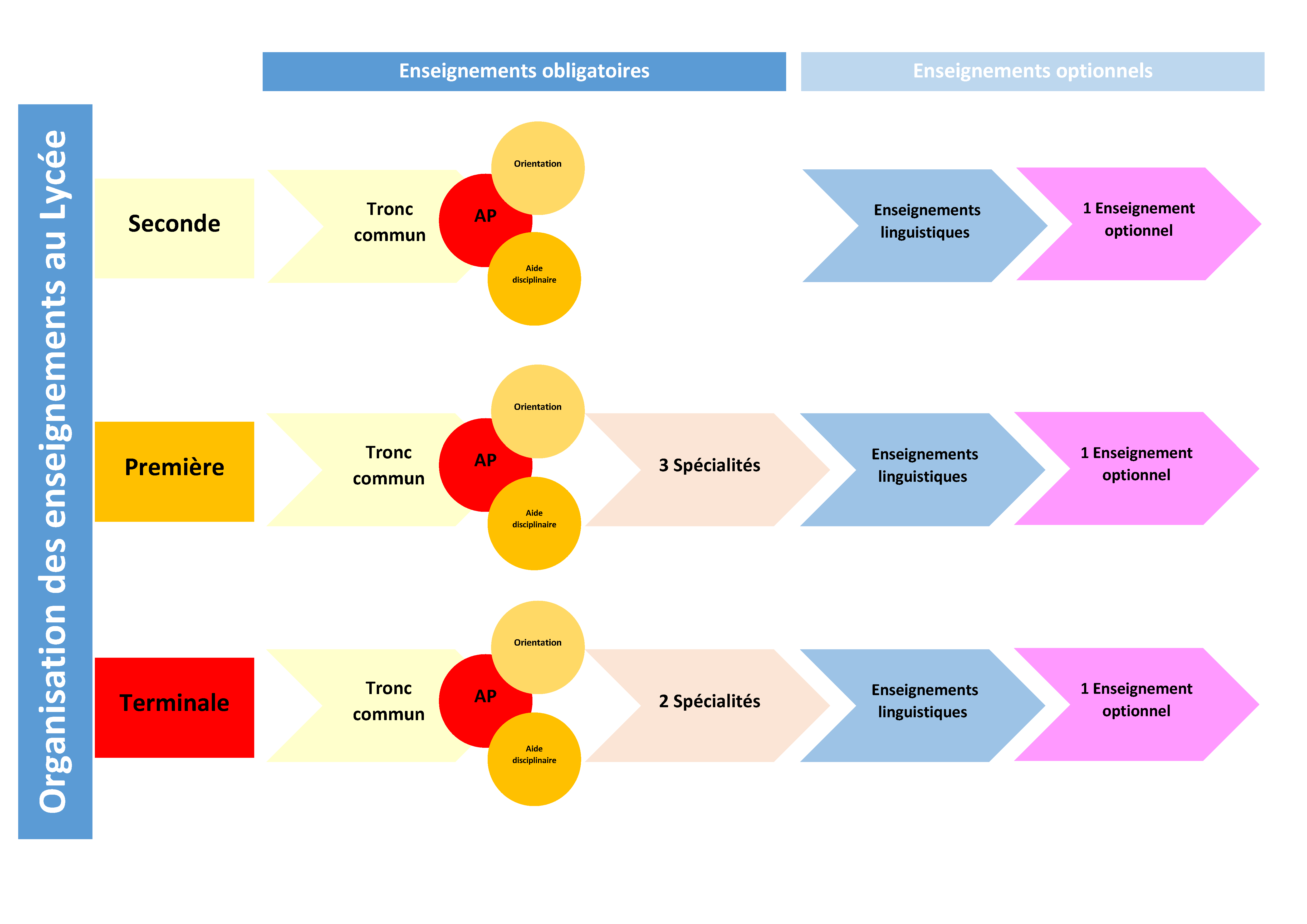 Réforme du Lycée – Baccalauréat 2021